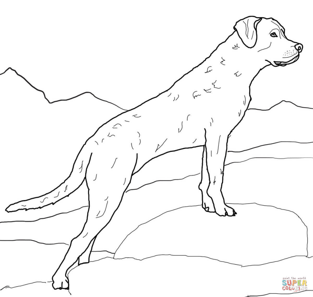 Free Printable Coloring Pages Of Dachsunds Download Free Printable Free Printable Coloring Pages Of Dachsunds Download Free Printable