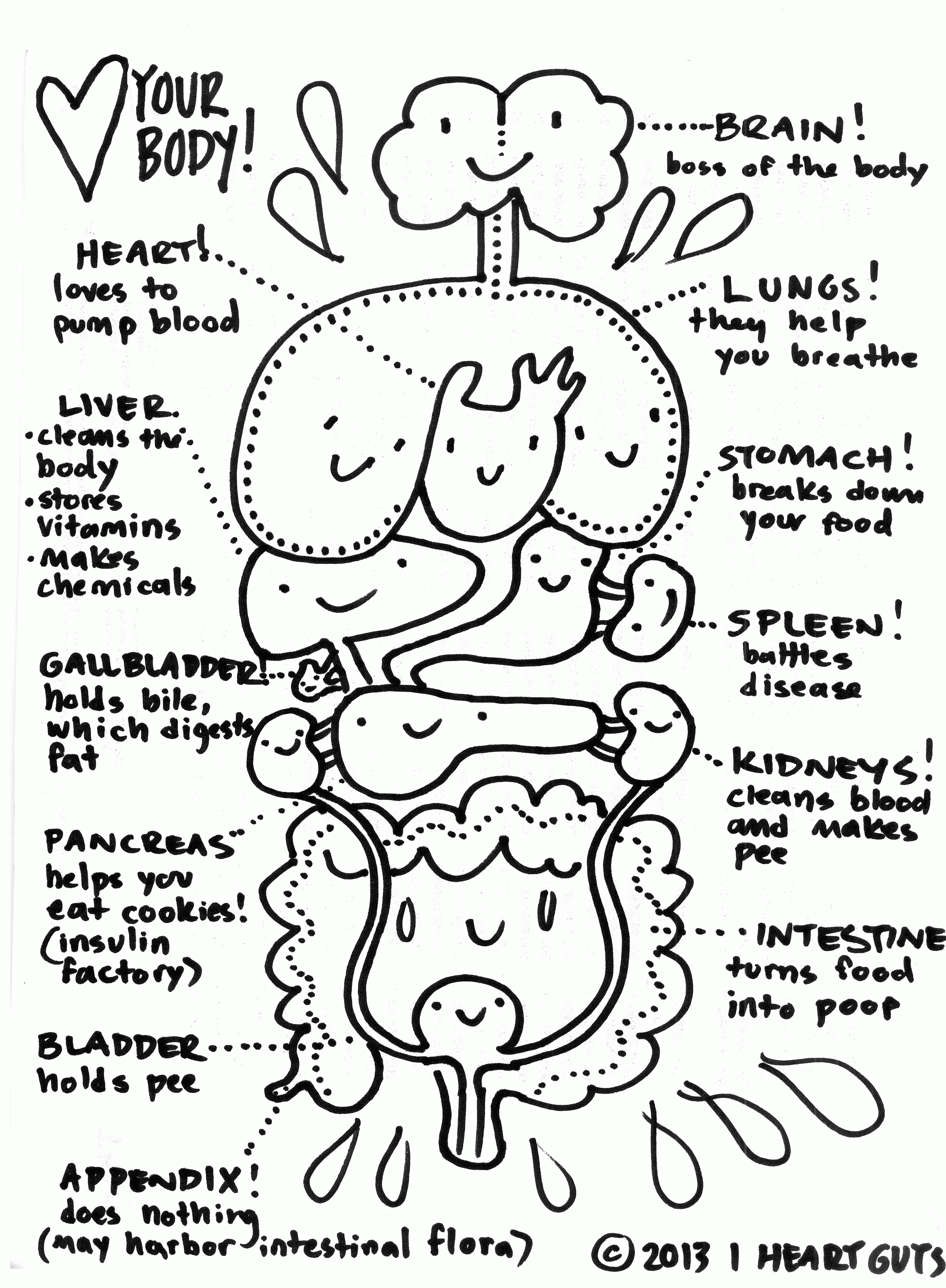 Free Preschoolers Coloring Pages Of The Human Body Download Free Free Preschoolers Coloring Pages Of The Human Body Download Free