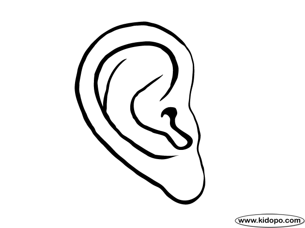 Free Ears Coloring Pages Download Free Ears Coloring Pages Png Images Free Ears Coloring Pages Download Free Ears Coloring Pages Png Images