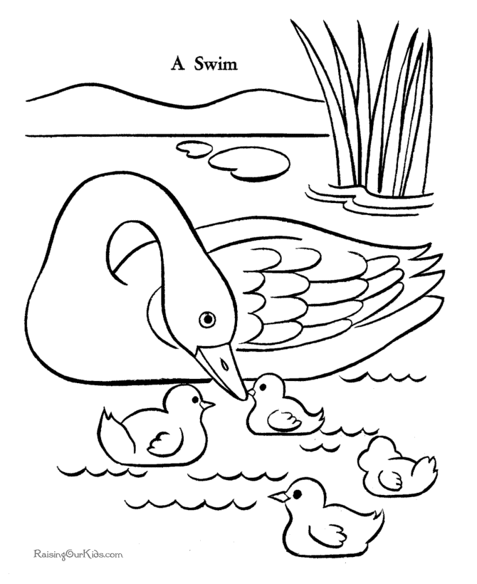 Free Duck Drawings For Kids, Download Free Duck Drawings For Kids png ... Free Duck Drawings For Kids, Download Free Duck Drawings For Kids png ...