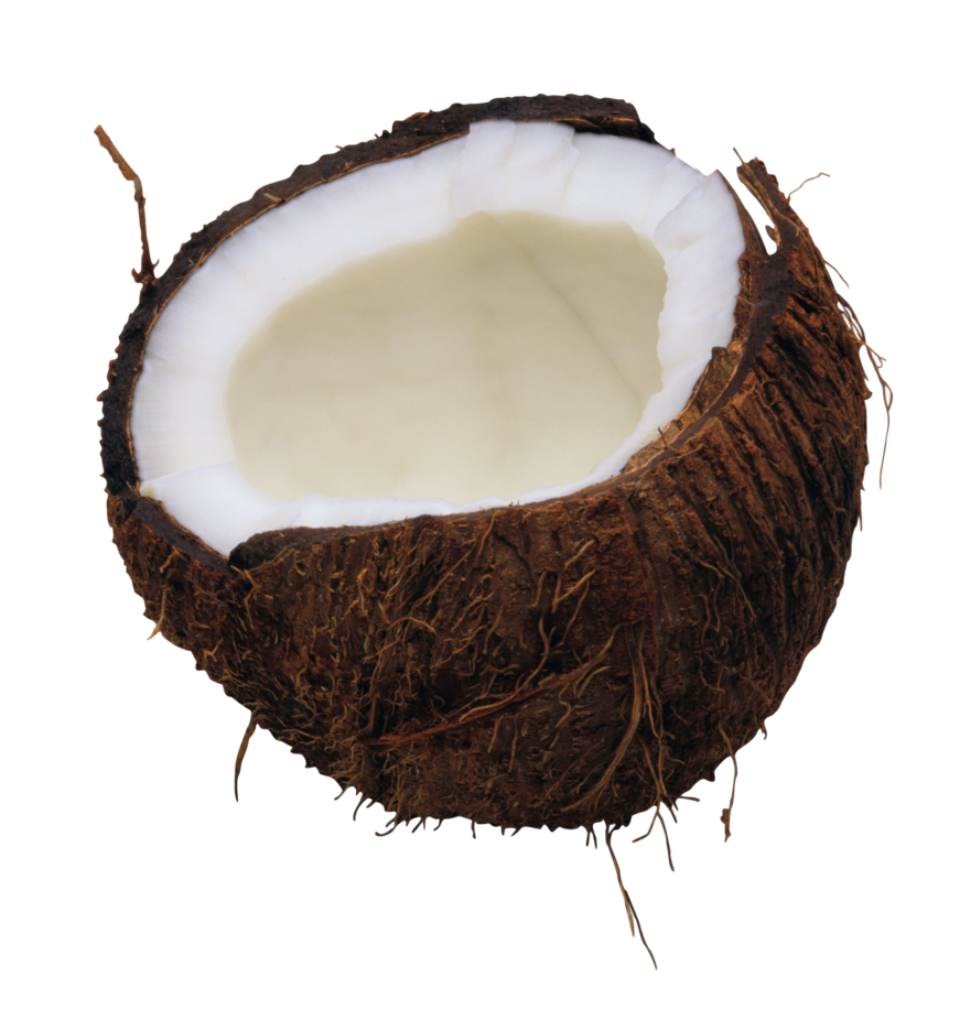 Free Coconut PNG Transparent Images, Download Free Coconut PNG ... Free Coconut PNG Transparent Images, Download Free Coconut PNG ...