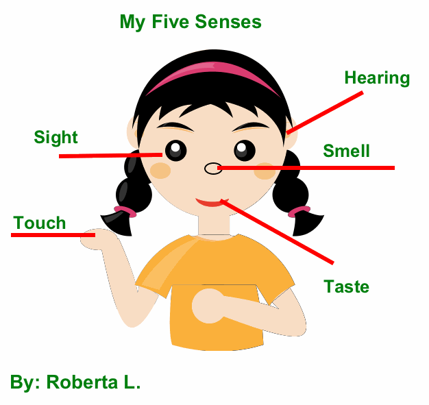 Free 5 Senses Download Free 5 Senses Png Images Free ClipArts On Free 5 Senses Download Free 5 Senses Png Images Free ClipArts On