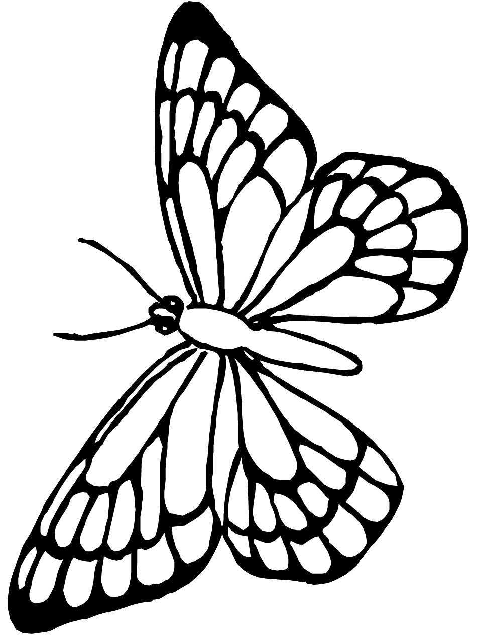Free Monarch Butterfly Template Download Free Monarch Butterfly Free Monarch Butterfly Template Download Free Monarch Butterfly