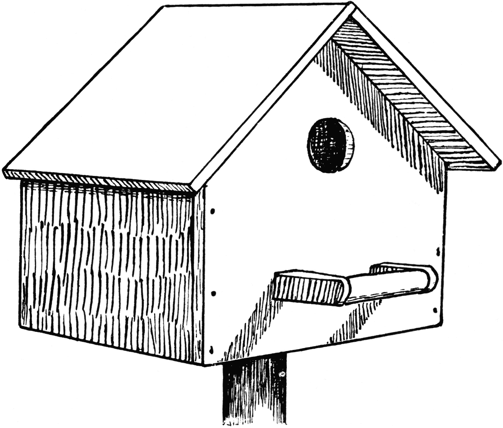 Gambar Birdhouse Coloring Pages 368 Free Printable Bird House Clipart 