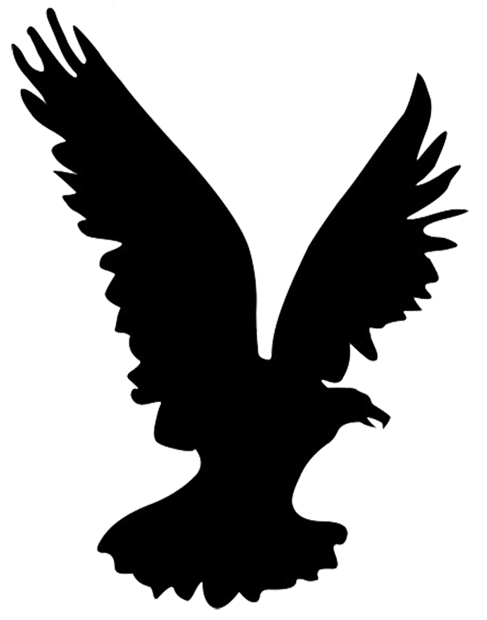 Bald Eagle Bird Silhouette Clip Art Eagle Silhouette Cliparts Png