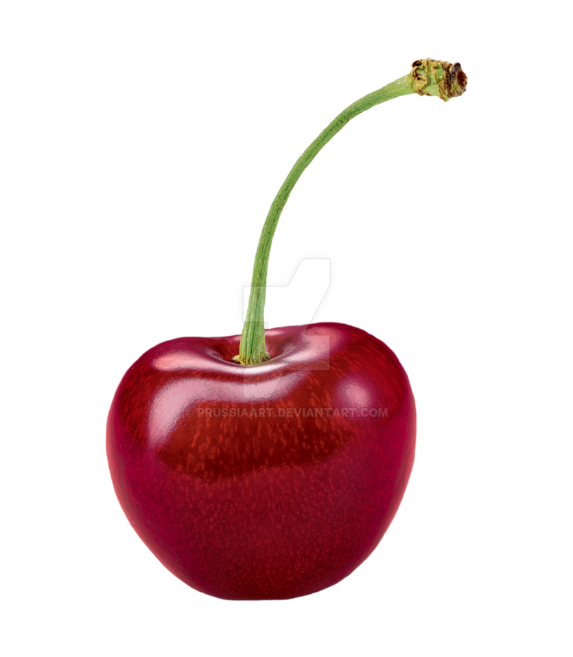 Shiny Cherry Transparent Background Clip Art Library - vrogue.co Shiny Cherry Transparent Background Clip Art Library - vrogue.co