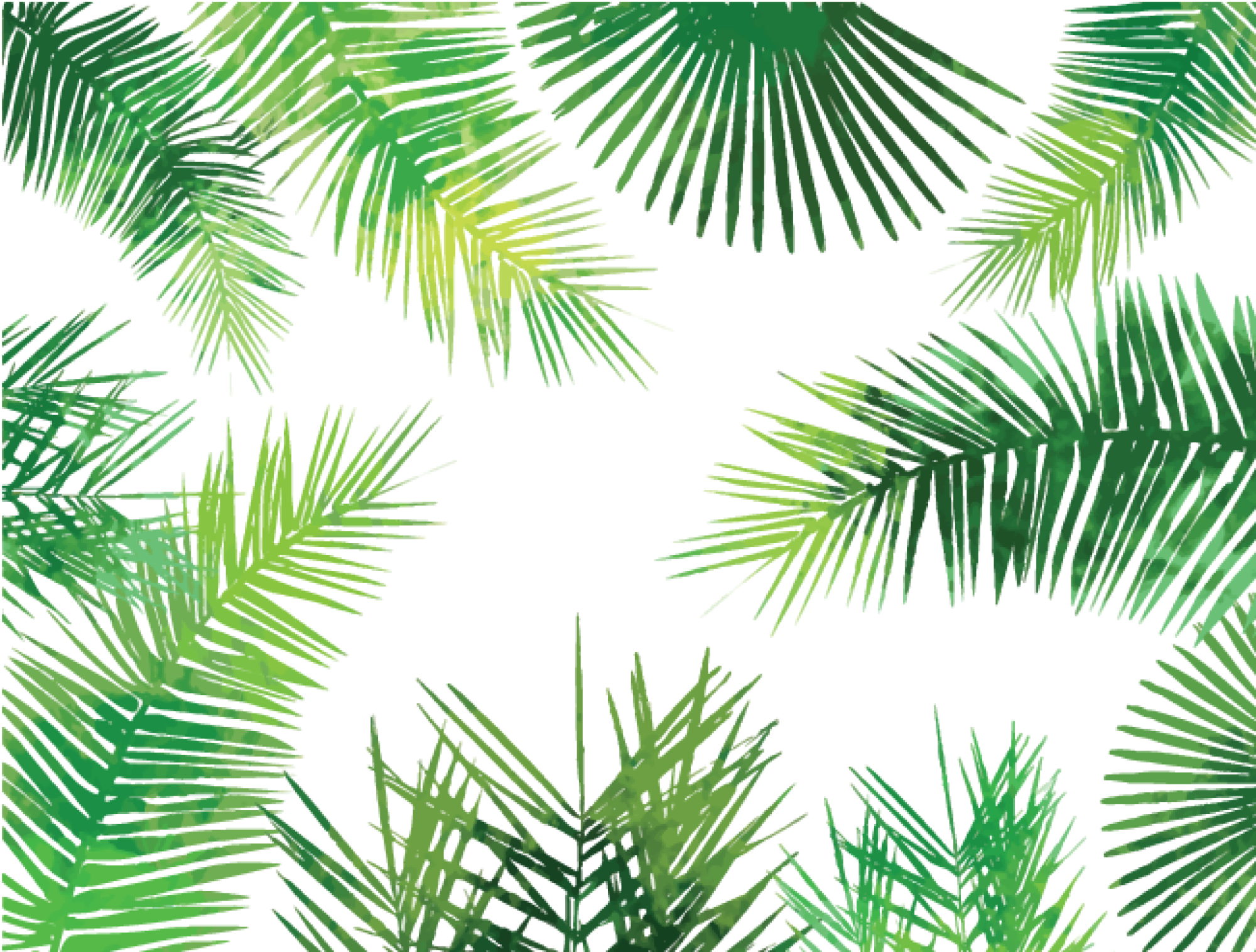 Crmla Clipart Transparent Background Clipart Palm Lea - vrogue.co Crmla Clipart Transparent Background Clipart Palm Lea - vrogue.co
