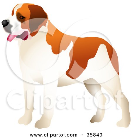 Saint-Bernard Clipart. Free Download Transparent .Png Clipart Library ...