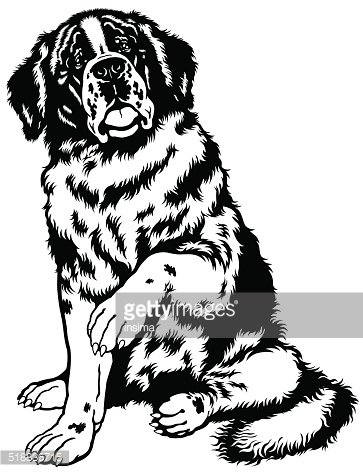 Free St. Bernard Cliparts, Download Free St. Bernard Cliparts png ...