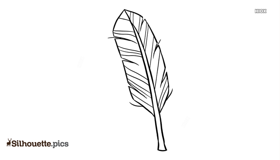 Feather Outlines Clip Art Library