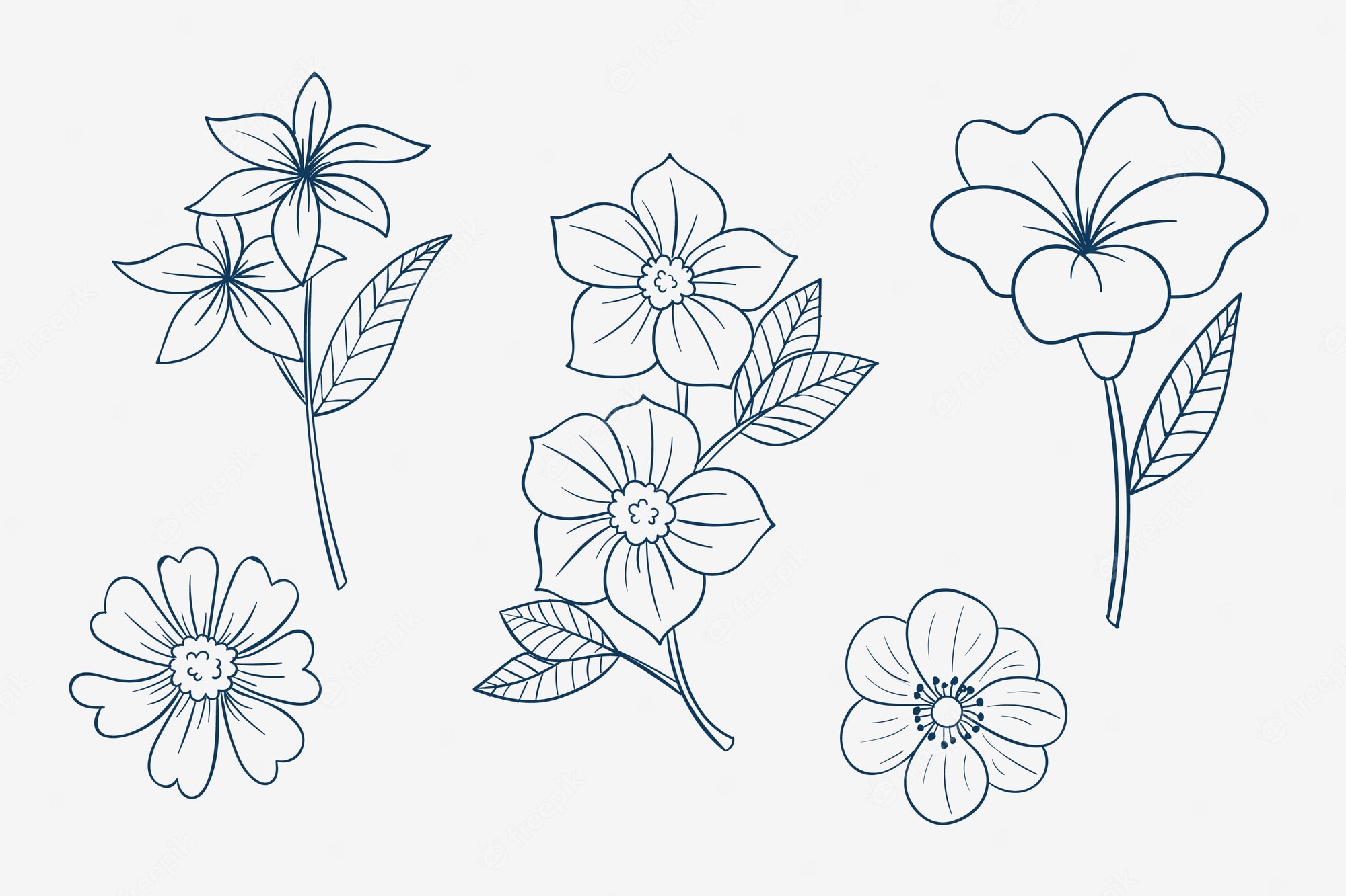 Free Flower Line Art Clipart Simple Daisy Outline For Coloring Free Flower Line Art Clipart Simple Daisy Outline For Coloring