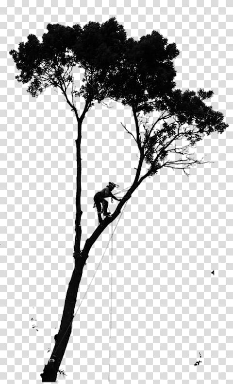Boy Climbing Tree Vector Art, Icons, And Graphics For Free Download ...