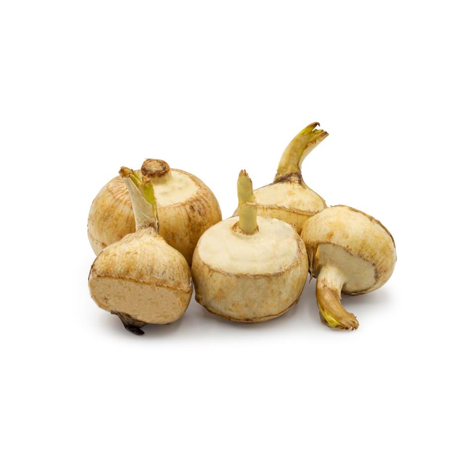Free arrowhead, Download Free arrowhead png images, Free ClipArts on ... Free arrowhead, Download Free arrowhead png images, Free ClipArts on ...