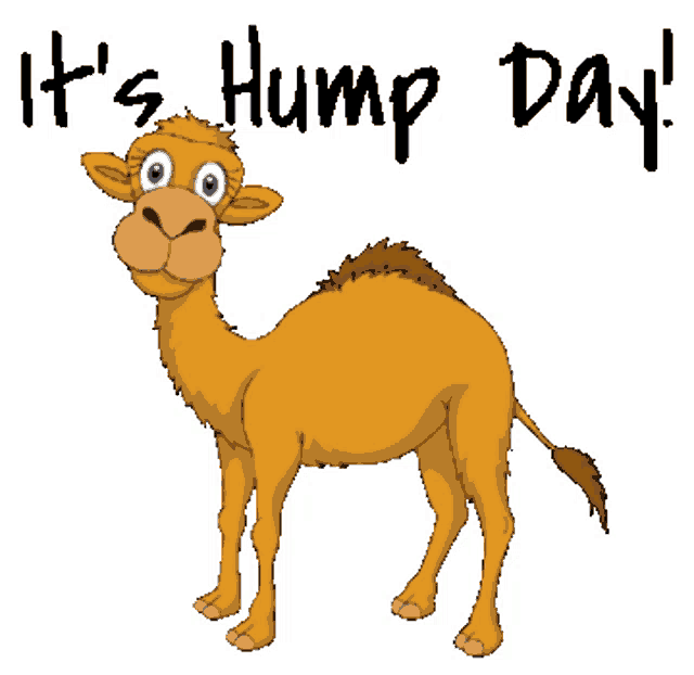 Free clip hump day, Download Free clip hump day png images, Free ClipArts on Clipart Library
