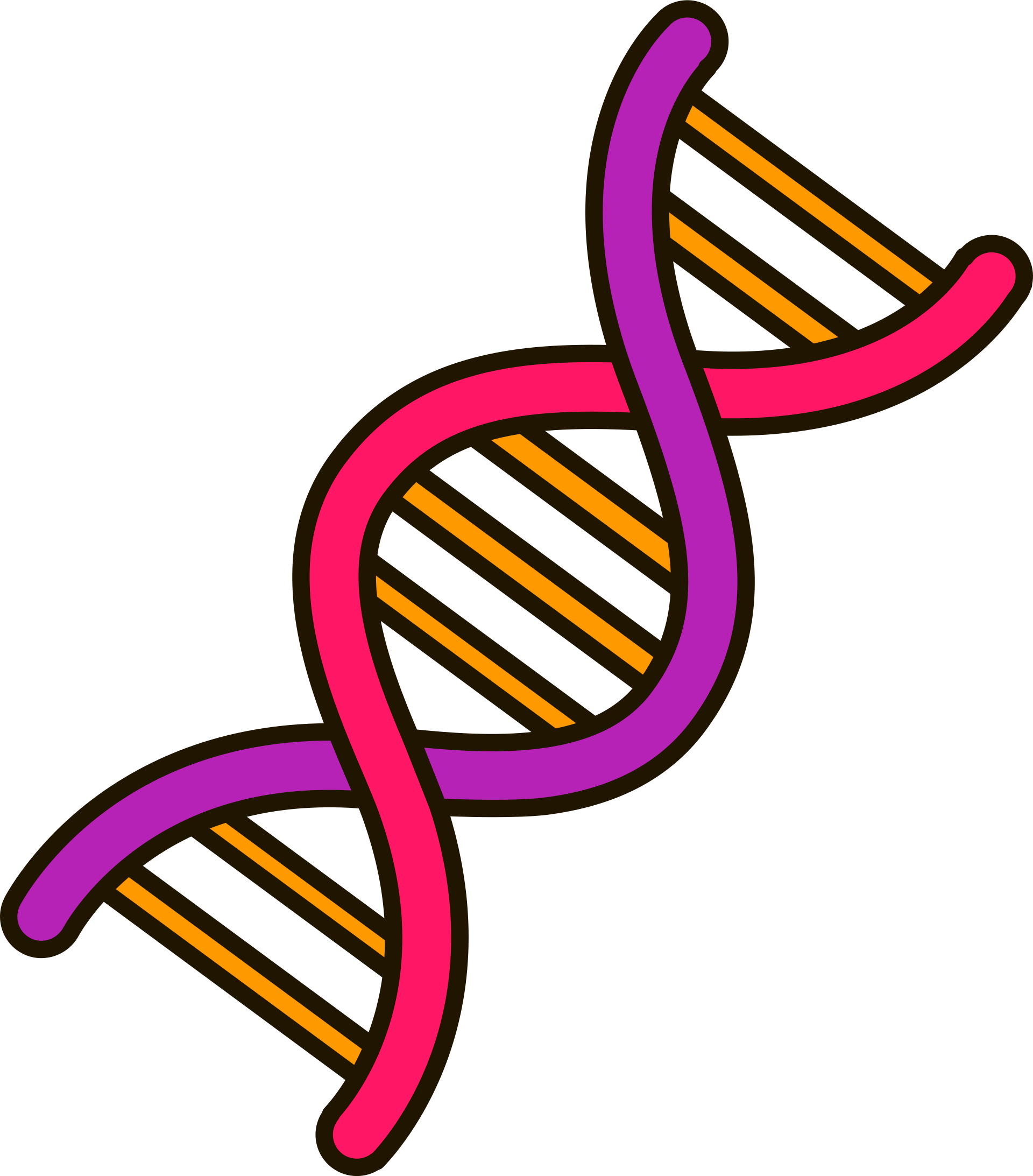 Free dna cliparts, Download Free dna cliparts png images, Free ClipArts on Clipart Library