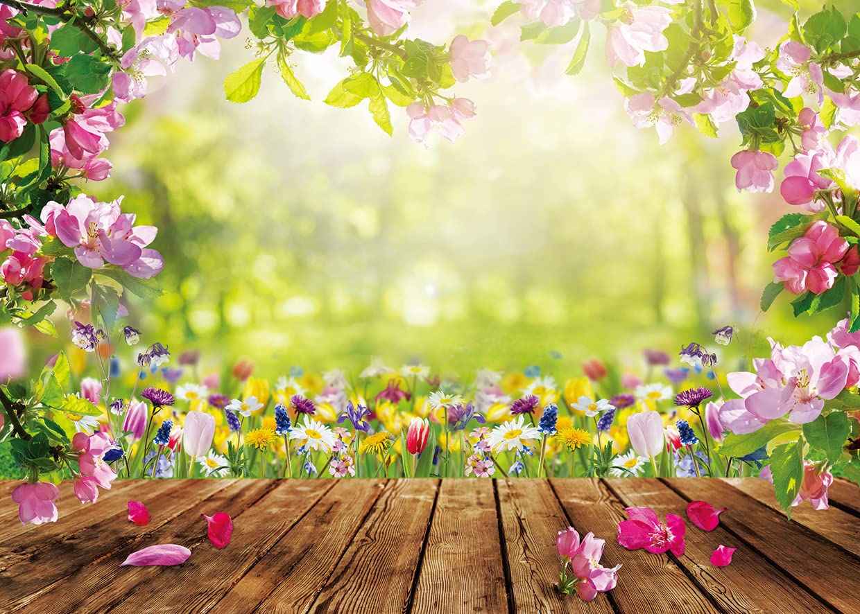 Free spring background, Download Free spring background png images ...