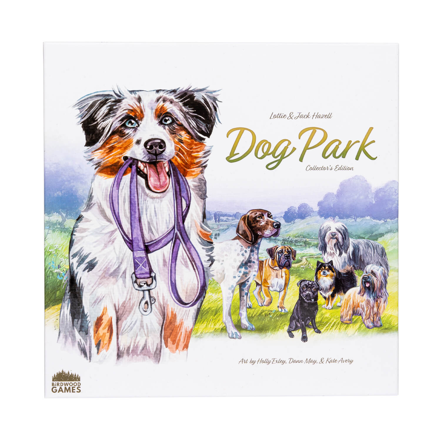 People at the dog park with their dogs 295631 Vector Art at Vecteezy ...