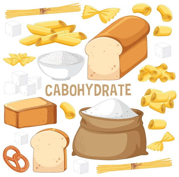 Variety Of Carbohydrates Foods Royalty Free Vector Image 3938416