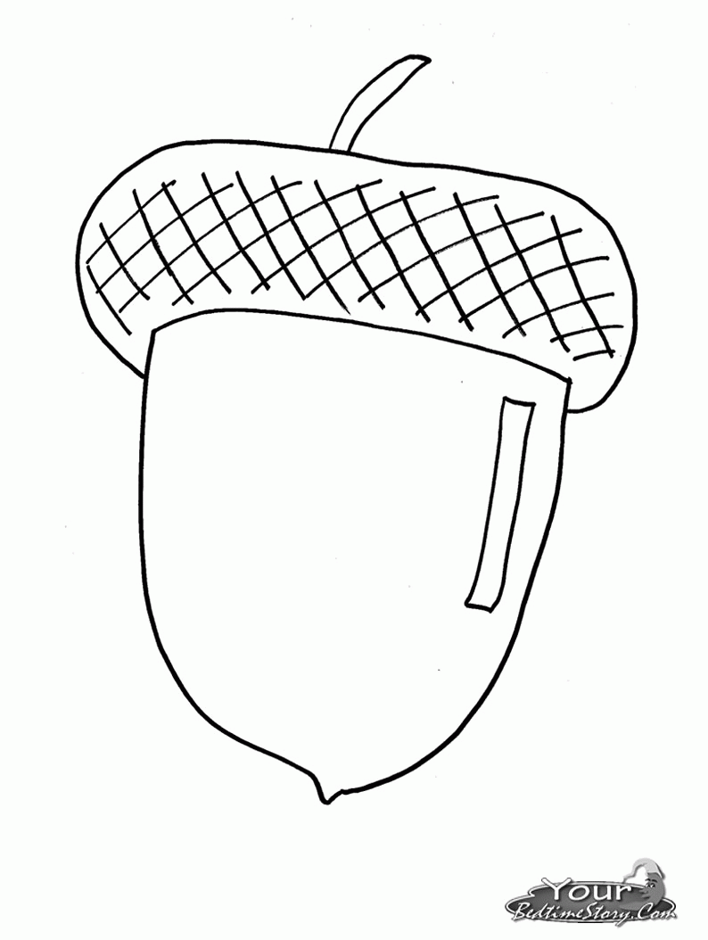 Acorn Coloring Pages Free Printable Acorn Coloring Sheets For Kids Acorn Coloring Pages Free Printable Acorn Coloring Sheets For Kids