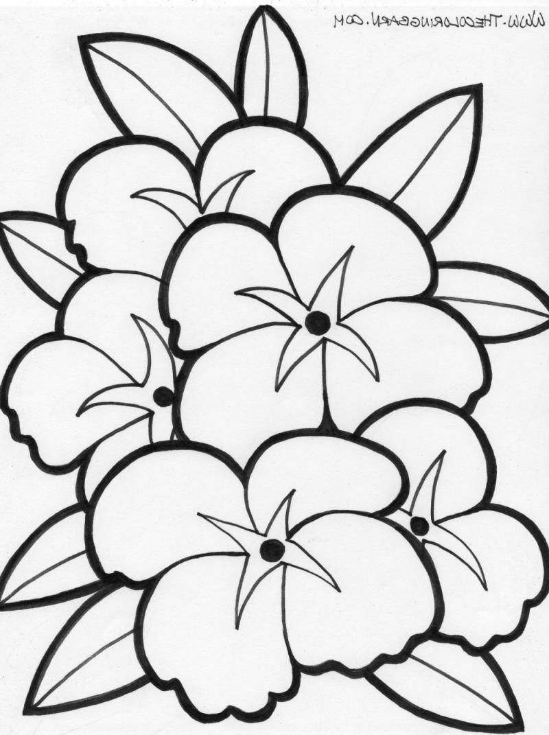 Printable Easy Coloring Pages For Seniors Clip Art Library Printable Easy Coloring Pages For Seniors Clip Art Library
