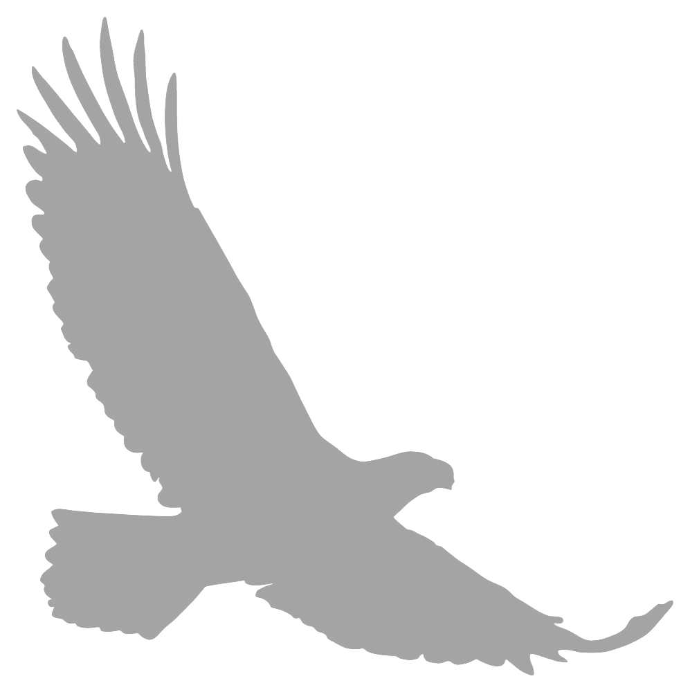 Bald Eagle Silhouette Clip Art Eagle Png Download 997 1000 Free